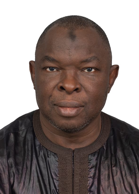 Never again: coup-plotting generals and Nigerian democracy, By Ahmed Aminu-Ramatu Yusuf ...