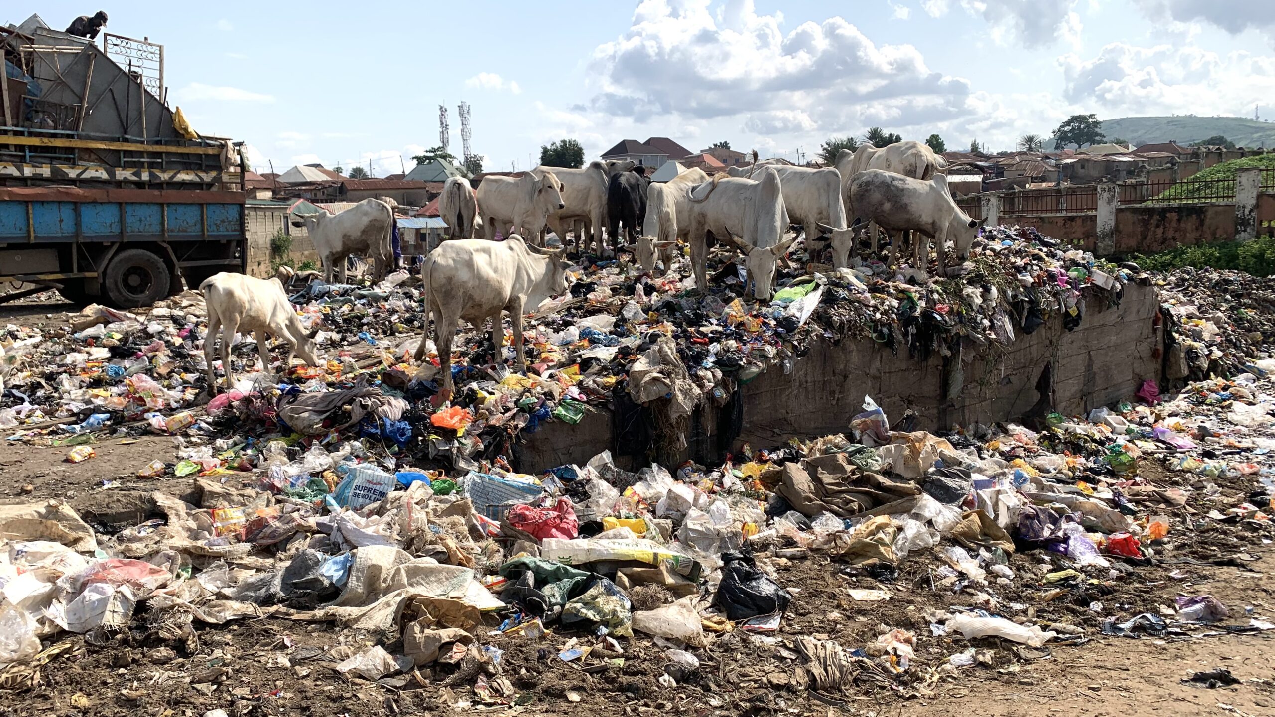 Poor waste disposal heightens disease risks in Abuja community ...